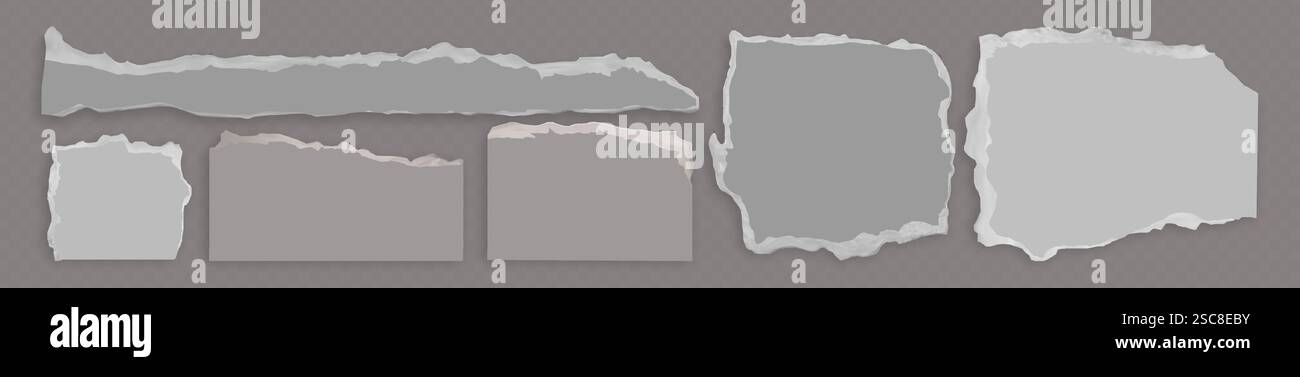 Torn paper pieces set isolated on transparent background. Vector ...