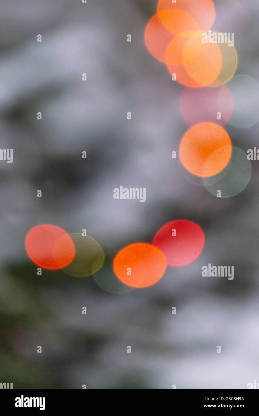 Colorful lights shimmer in a soft bokeh effect while a Christmas tree ...