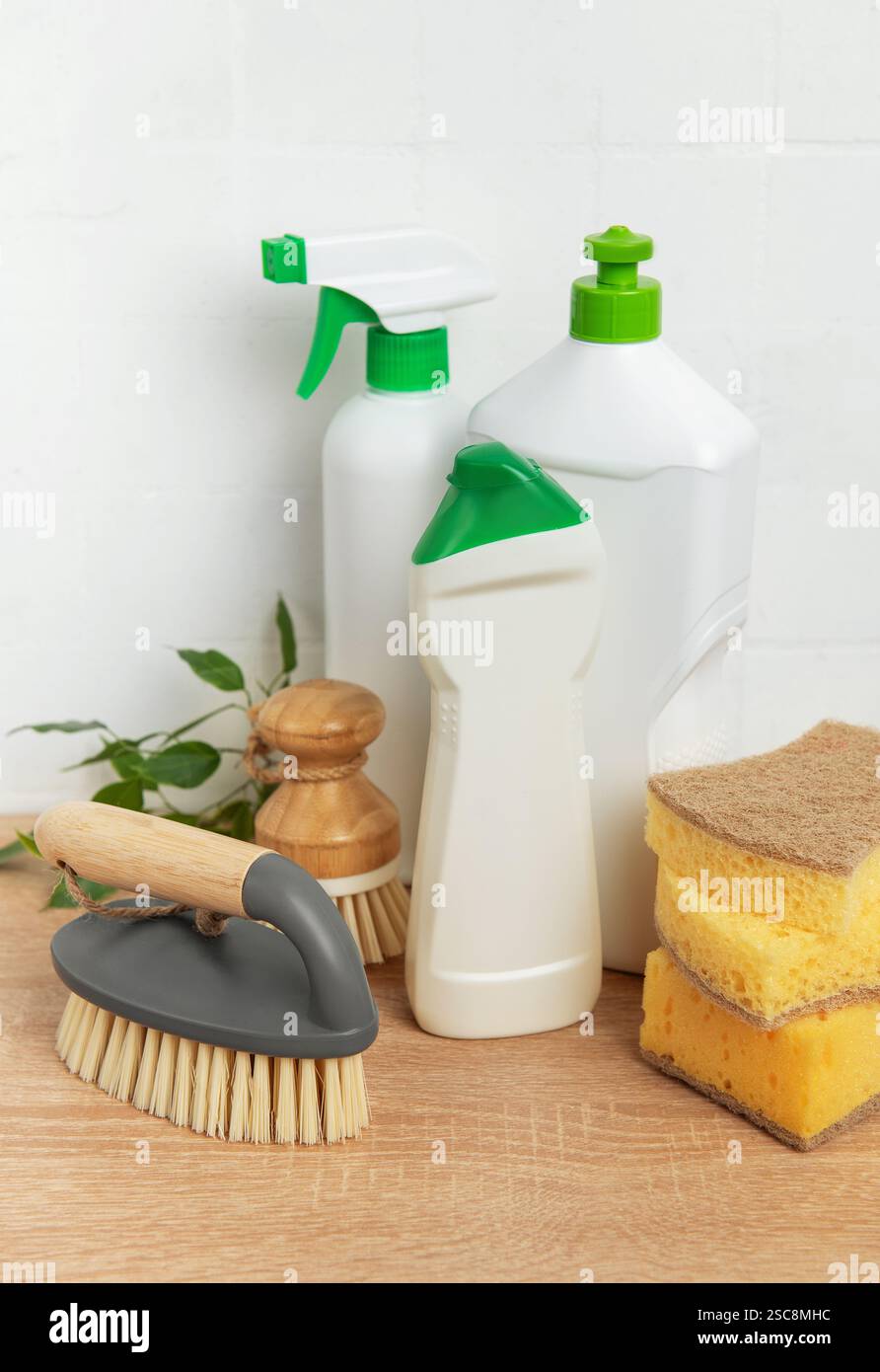 Eco friendly cleaning products, brushes, and sponges arranged on a ...