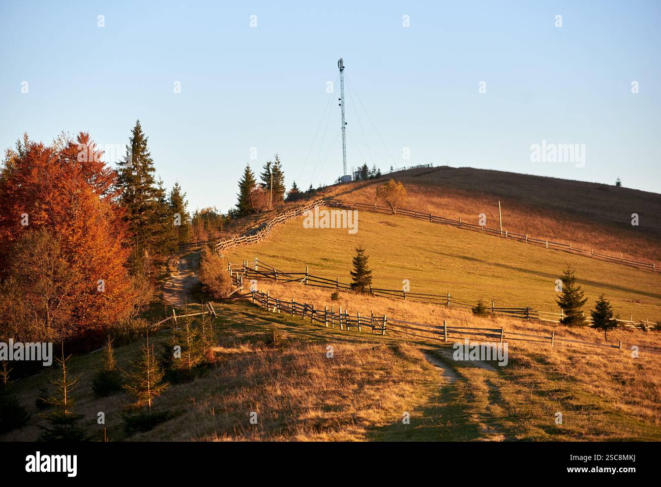 Peaceful hillside scene in autumn. Golden grass and winding dirt path ...