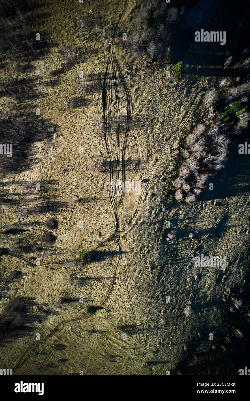 Top down flat aerial view of open grassy clearings. Sunlight casts long ...