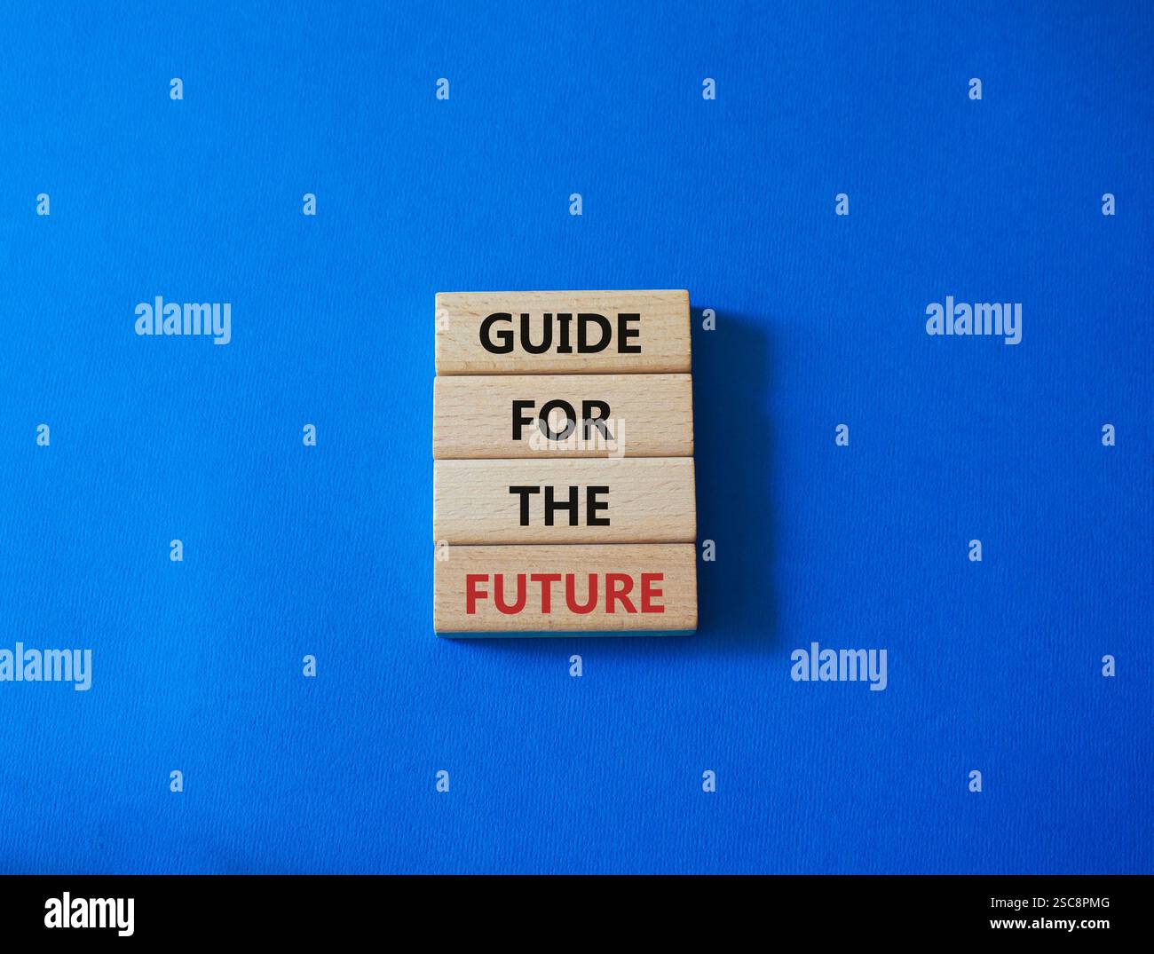 Guide for the future symbol. Wooden blocks with words Guide for the ...