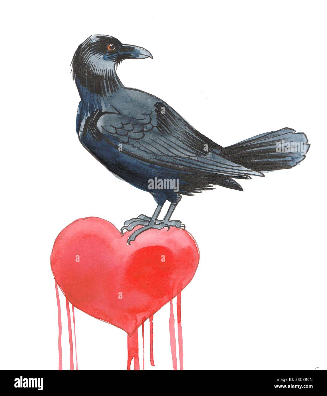 Crow and heart. Hand drawn watercolour illustration Stock Photo - Alamy