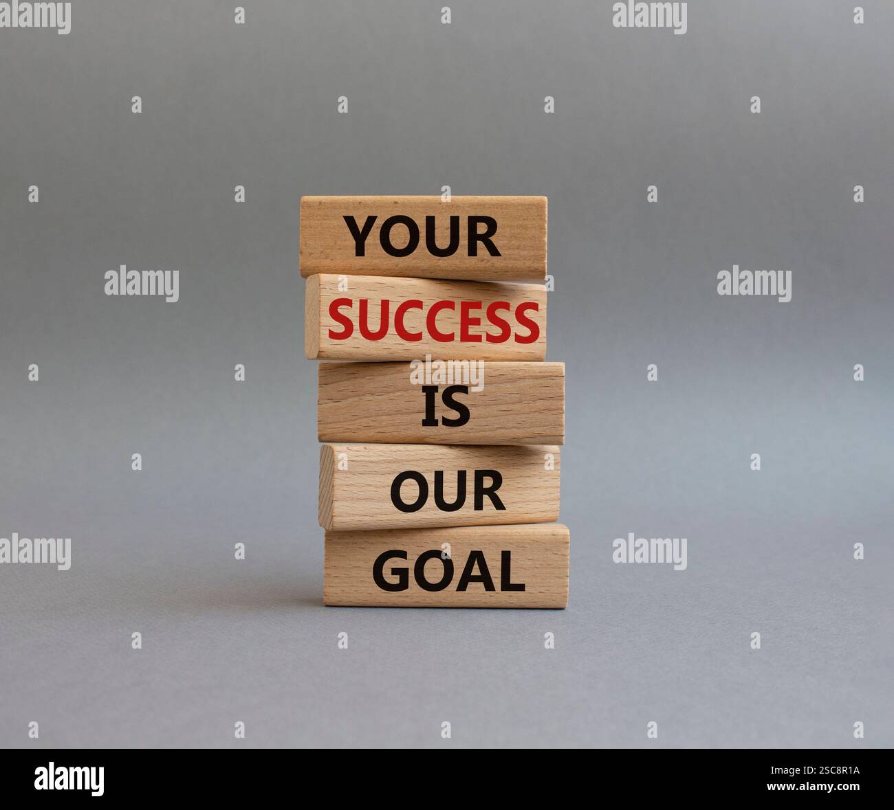 Your success is our goal symbol. Wooden blocks with words Your success is our goal. Beautiful ...