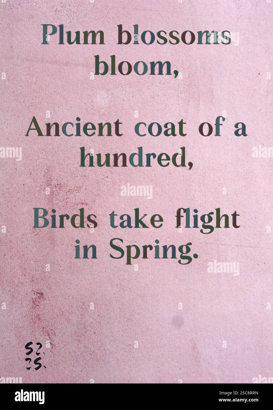 Plum blossoms bloom, Ancient coat of a hundred, Birds take flight in ...