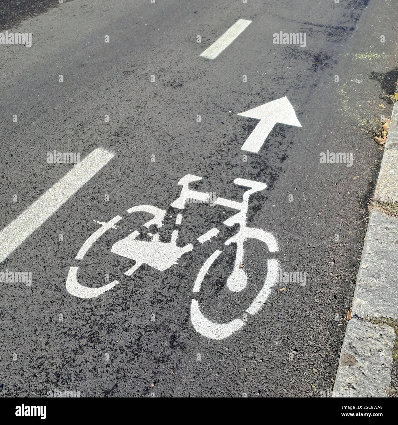 Bicycle symbol on asphalt road, northern Italy Stock Photo - Alamy