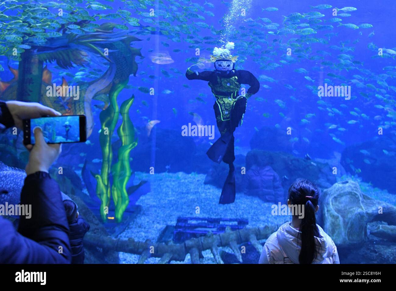 **CHINESE MAINLAND, HONG KONG, MACAU AND TAIWAN OUT** The underwater ...