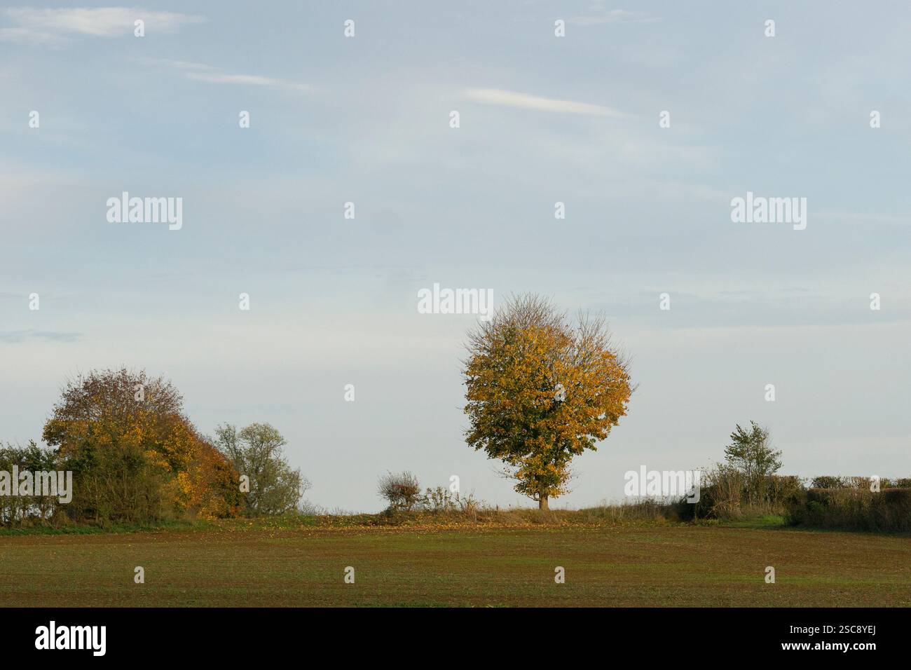 English country scene in hi-res stock photography and images - Alamy