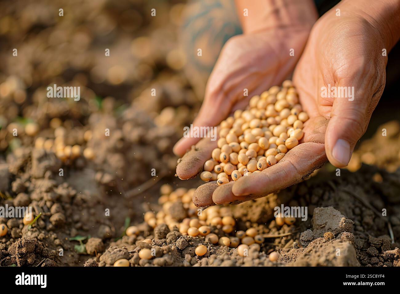 A hand is planting seeds in the dirt. The seeds are small and scattered ...