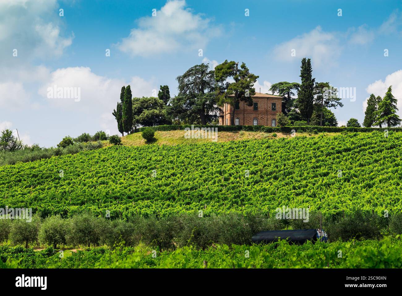 rural landscape with houses standing alone in the province of Tuscany ...