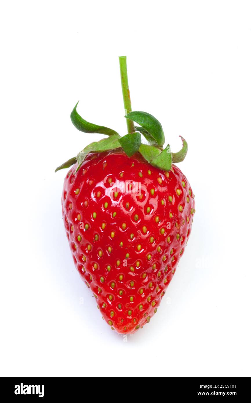 strawberry isolated on white Stock Photo - Alamy
