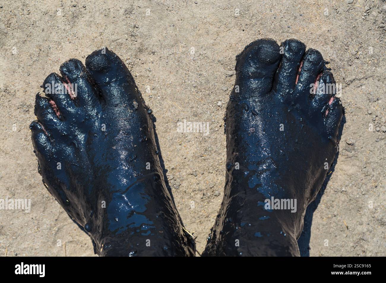 Feet covered with a black therapeutic mud at salt lake Stock Photo - Alamy