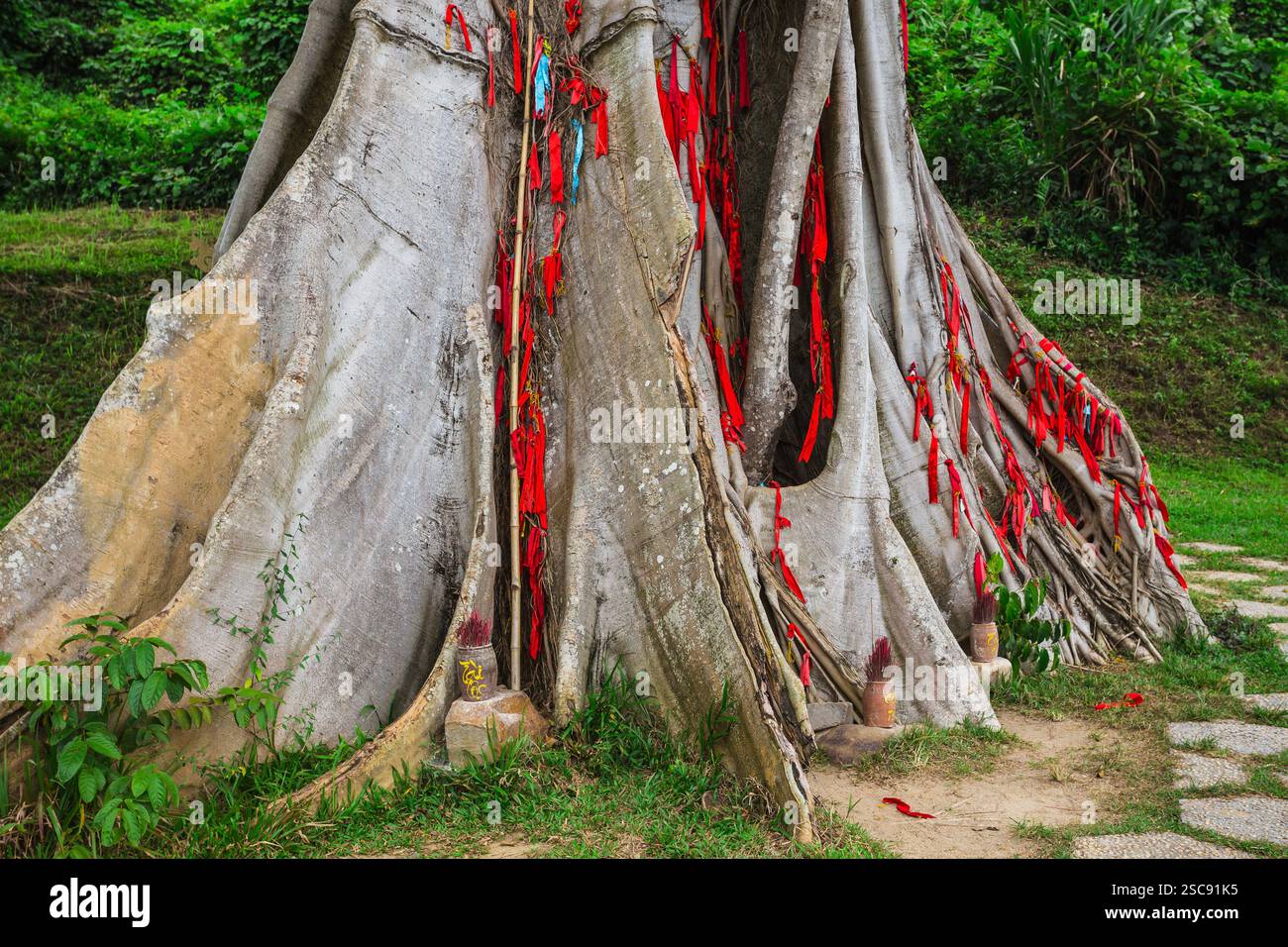 tree with colored ribbons is believed to bring luck. Vietnam Stock ...