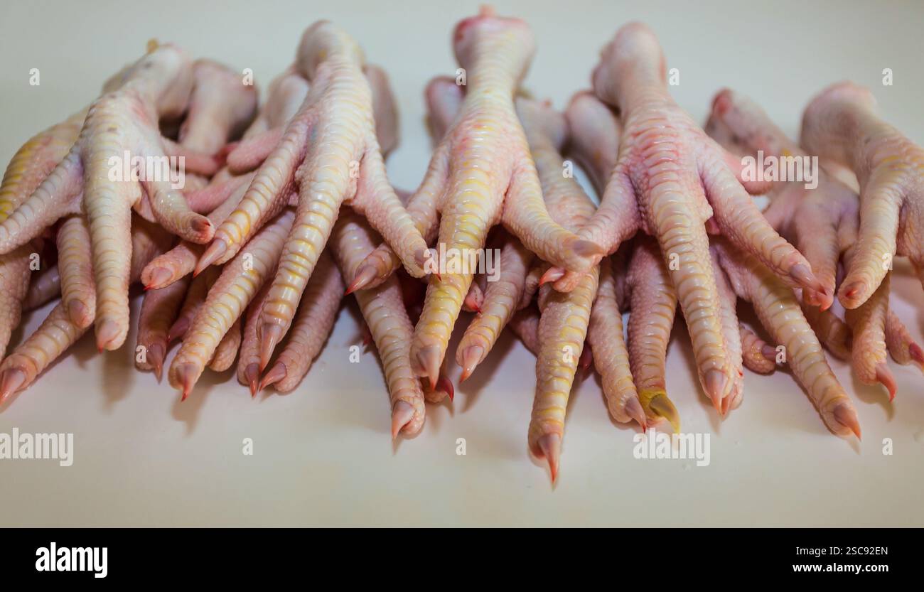 semifinished raw chicken legs on white background Stock Photo - Alamy