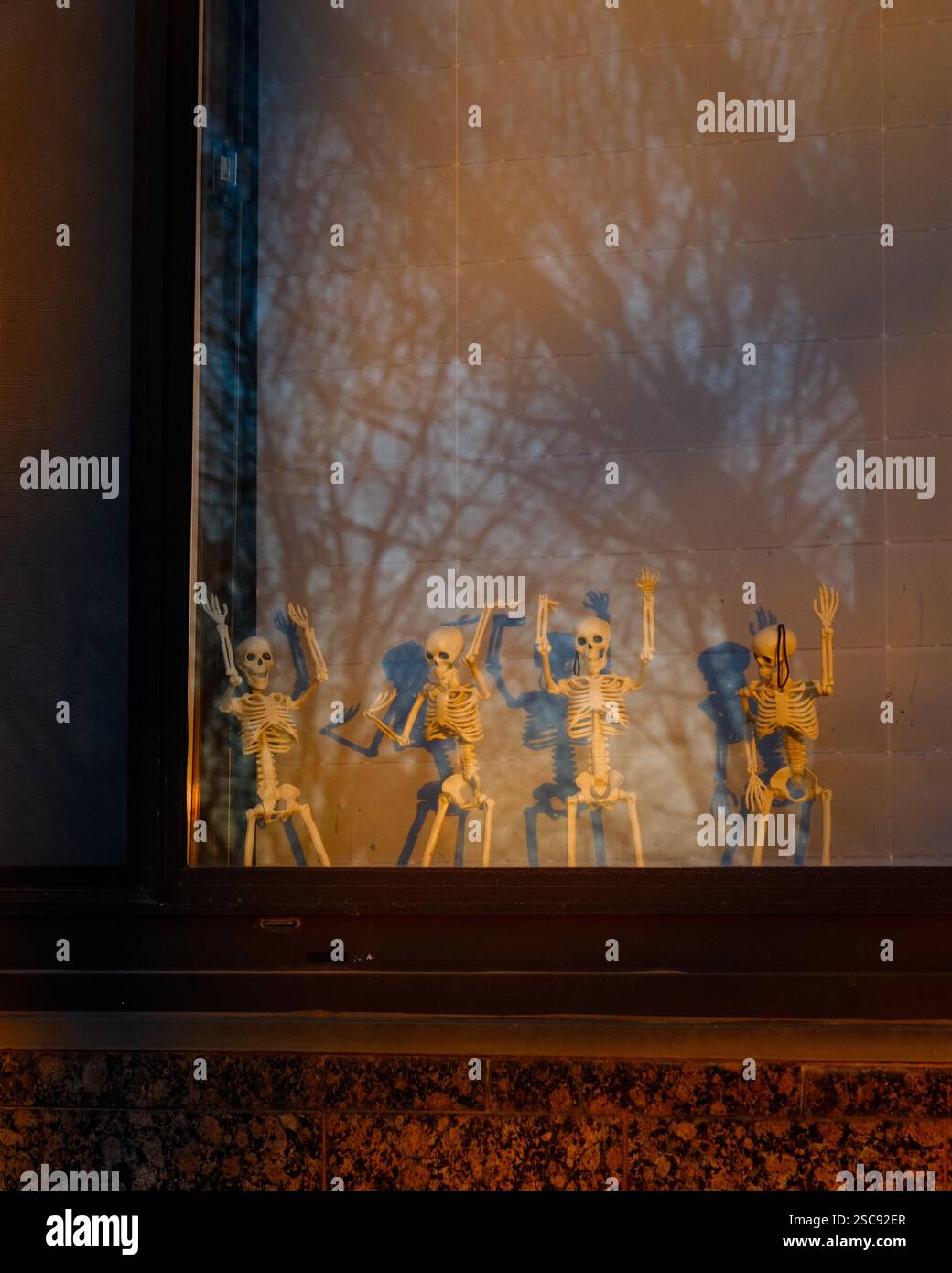 Skeletons in a window in the Upper East Side, Manhattan, New York City ...