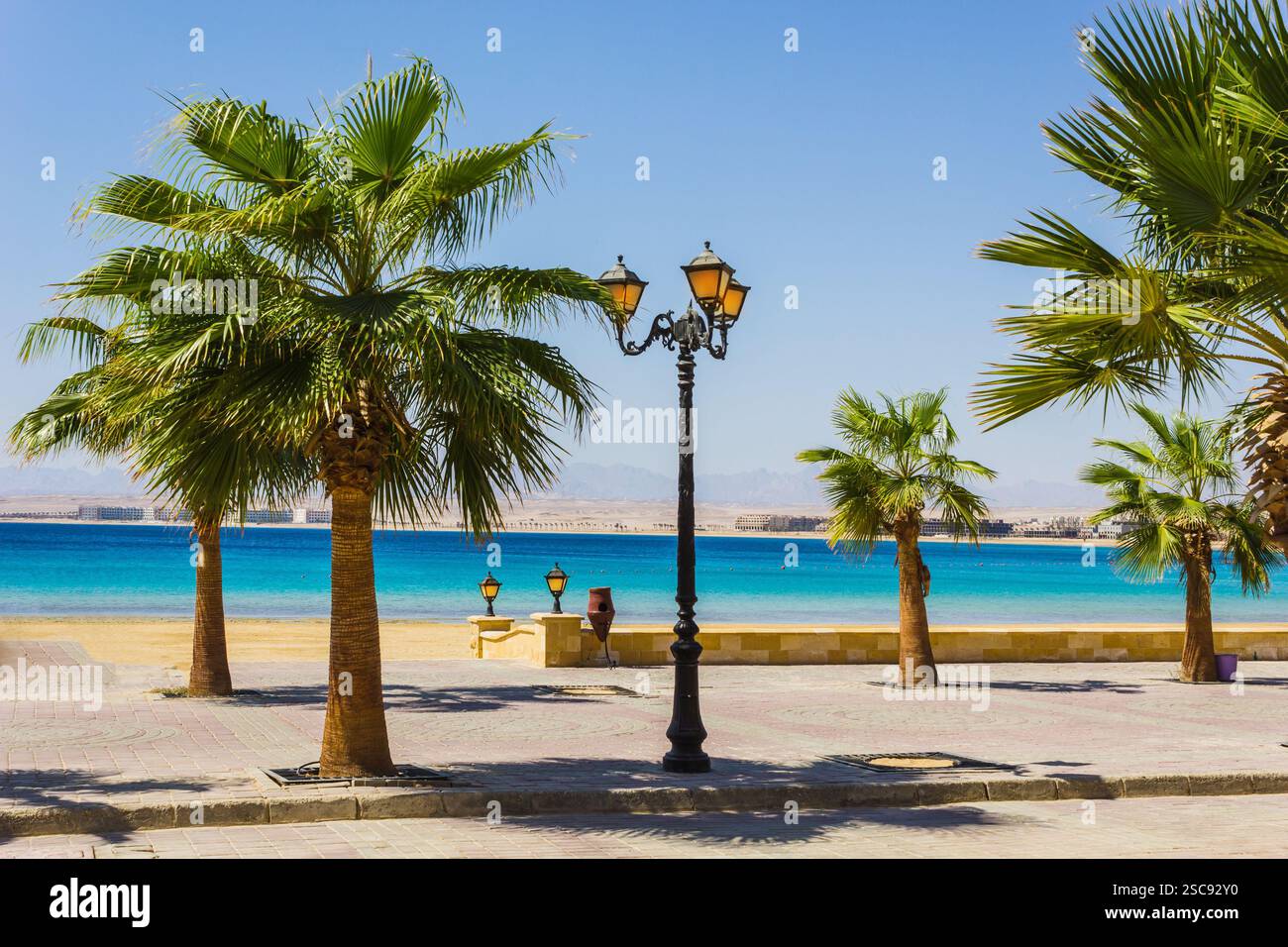 Promenade with palm trees on the shore of the Red Sea, Egypt, Hurghada ...