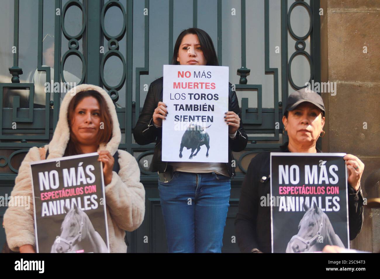 Activist Protest Against Bullfighting in Mexico Animal rights activists ...