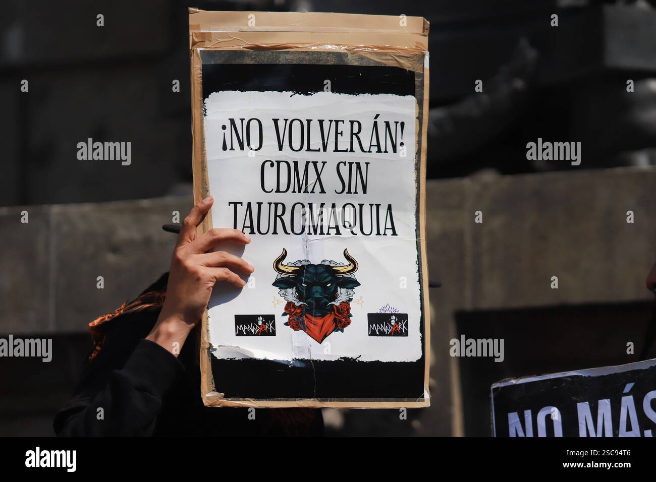 Activist Protest Against Bullfighting in Mexico Animal rights activists ...