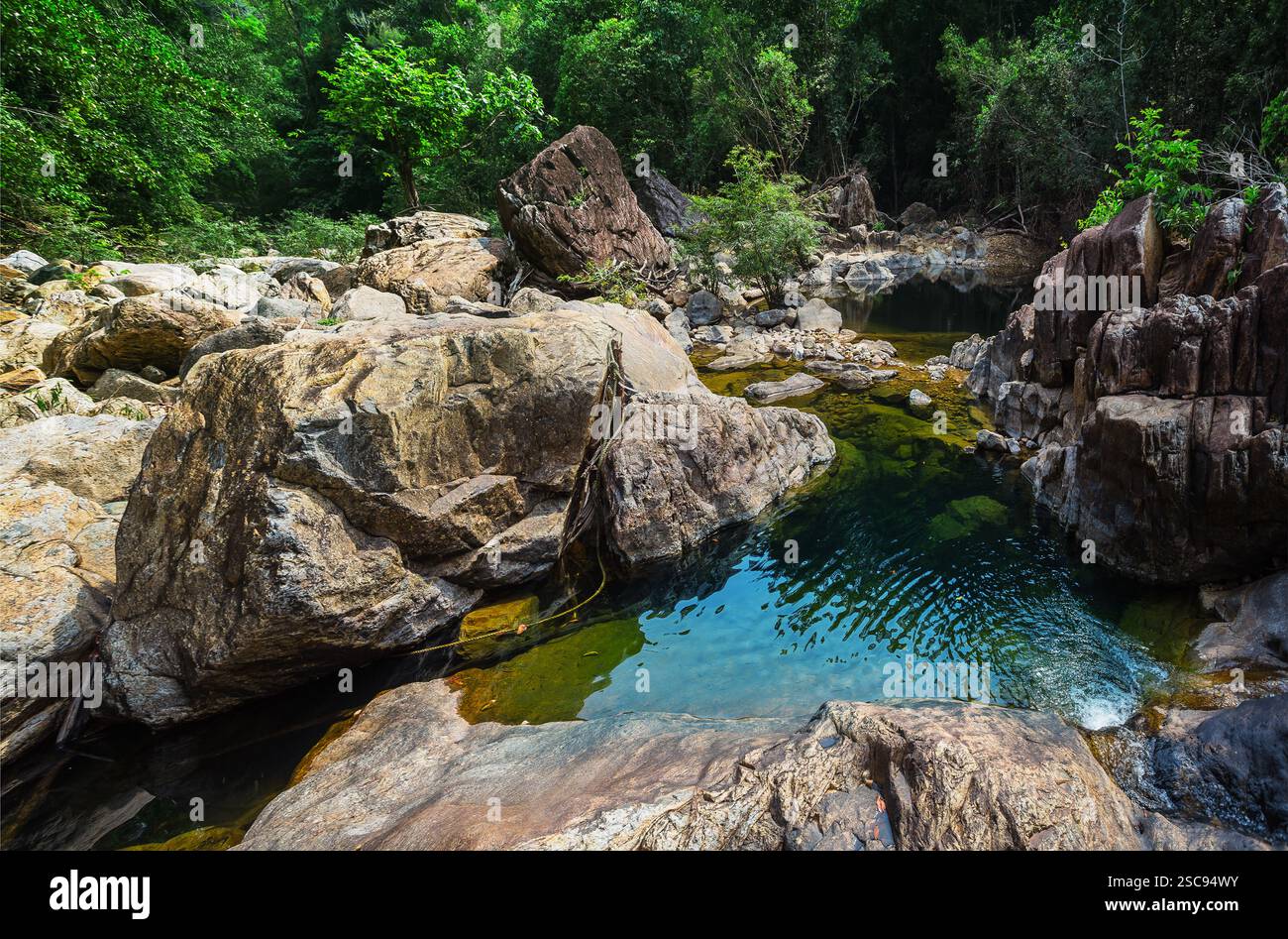 Stream in the tropical jungles of South East Asia Thailand Koh Chang ...
