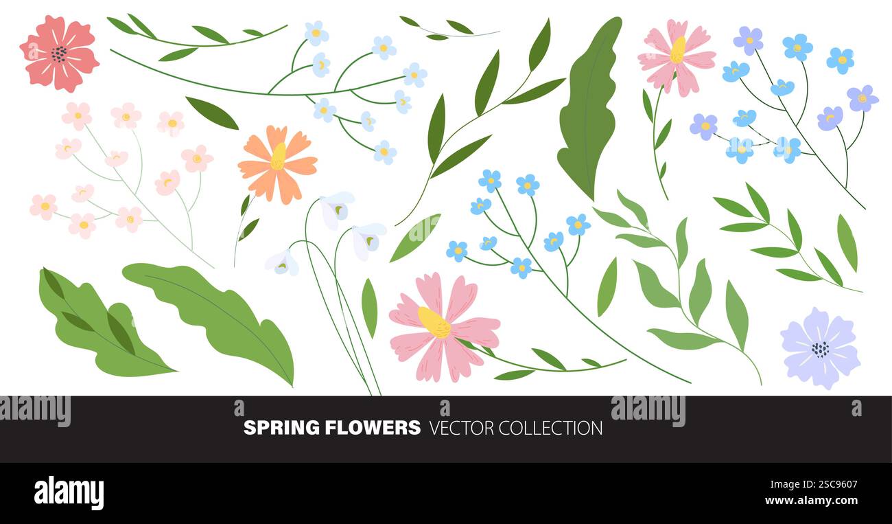 Spring Flowers Collection Set, Vector illustration Stock Vector Image ...