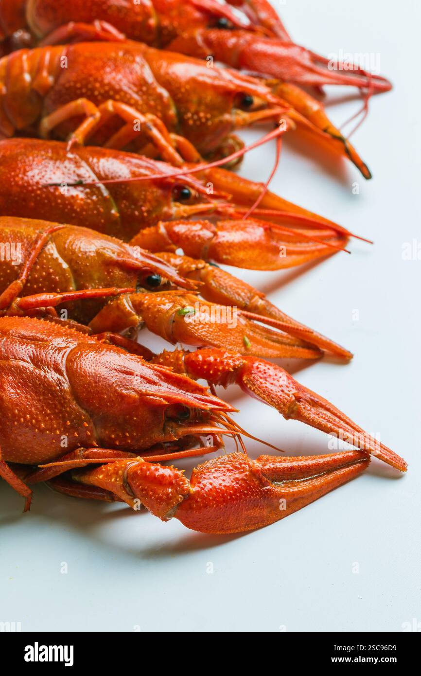 The Boiled crawfish on a white background Stock Photo - Alamy