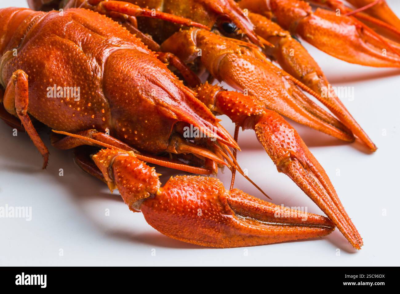 The Boiled crawfish on a white background Stock Photo - Alamy