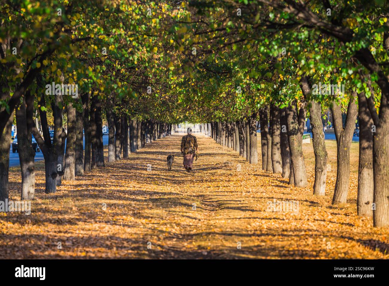 Long alley hi-res stock photography and images - Alamy