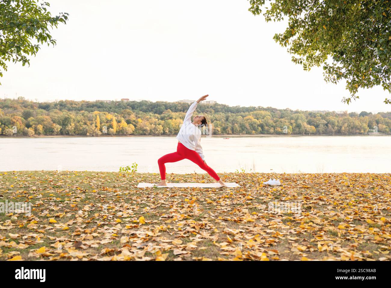 Healthy lifestyle yoga in nature hi-res stock photography and images ...