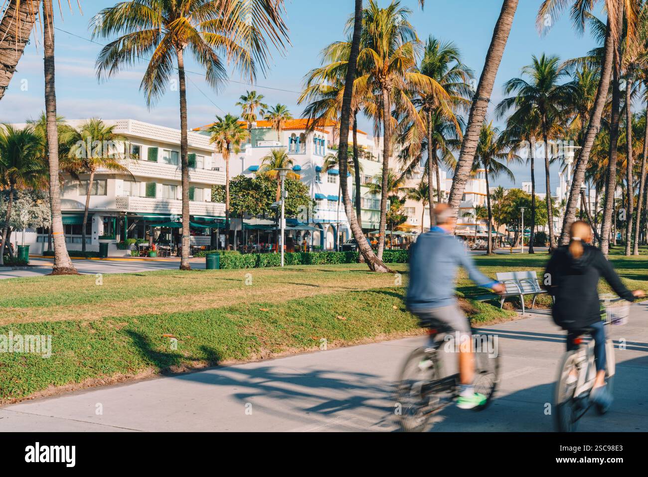 A vibrant street scene in Miami Beach with palm trees, colorful Art ...