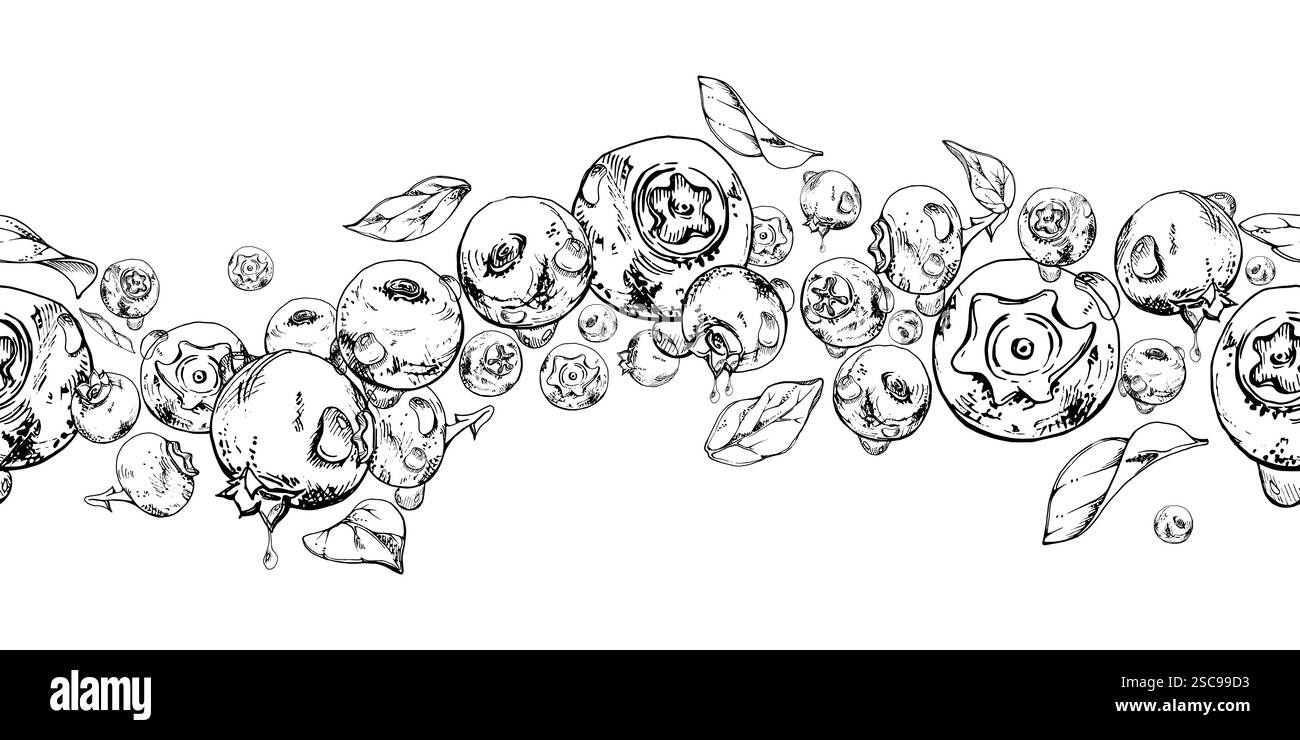 Blueberry blackberry, group of flying ripe forest berry with drops and ...