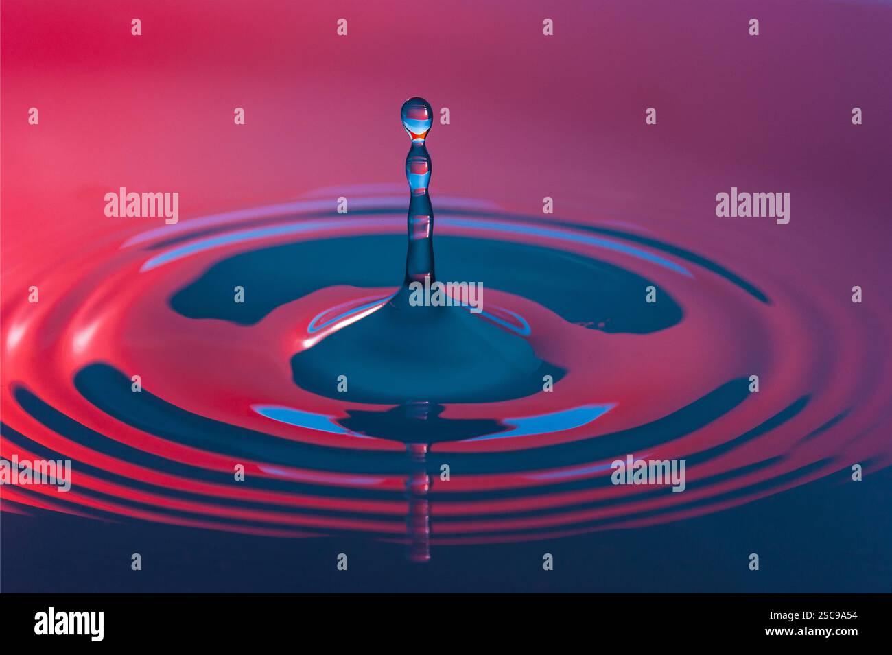 Water drop falling into water making a perfect concentric circles Stock ...