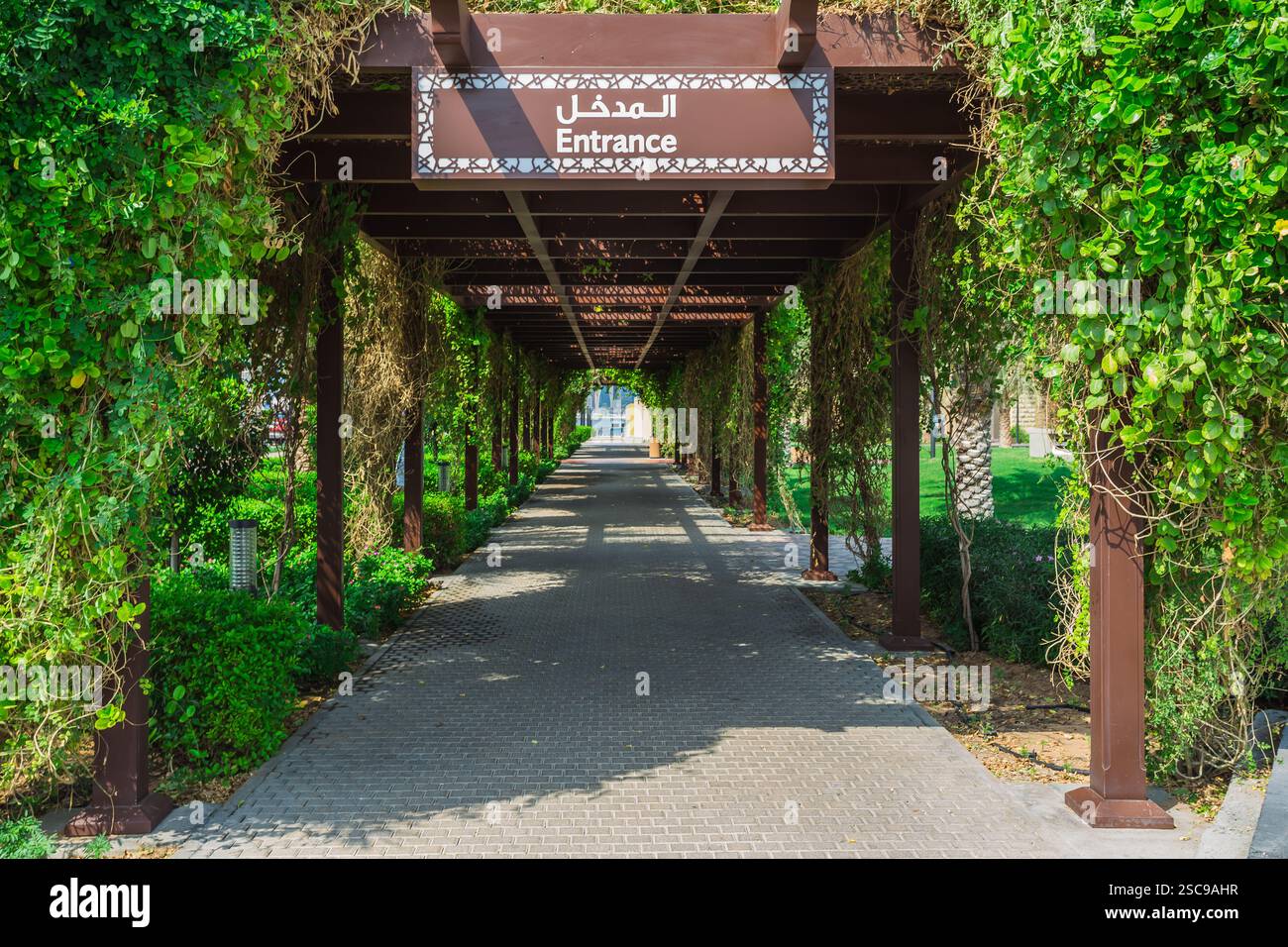 the tunnel of greenery in Dubai Stock Photo - Alamy
