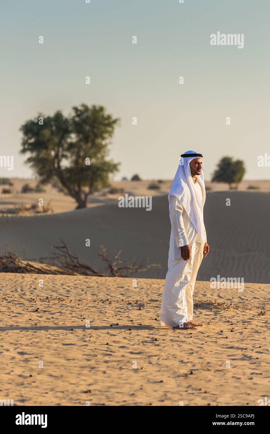 The Arabian desert on a hot sunny day Stock Photo - Alamy