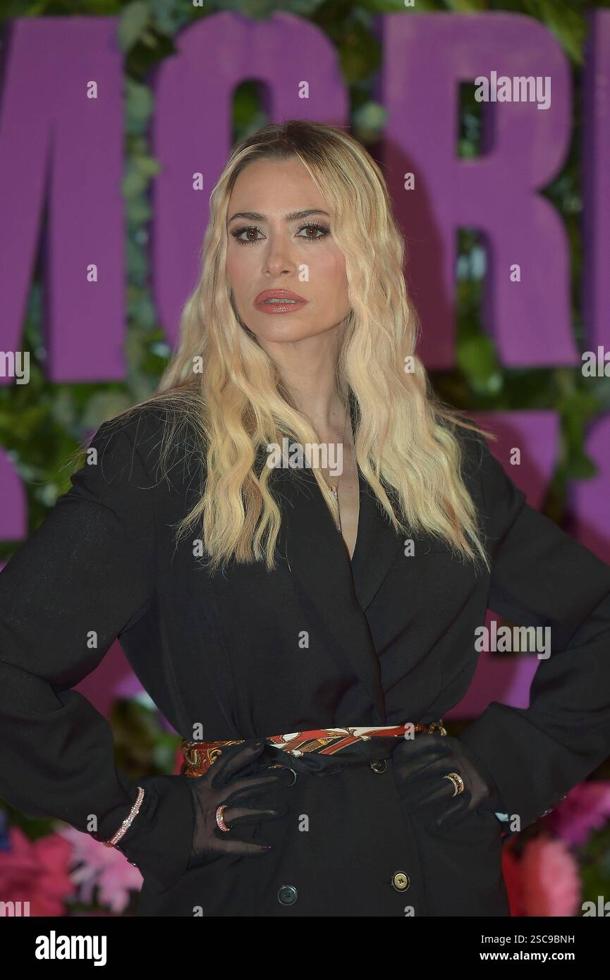 Italy, Rome, February 5th, 2025 - 'Bridget Jones; mas about a boy' Red ...