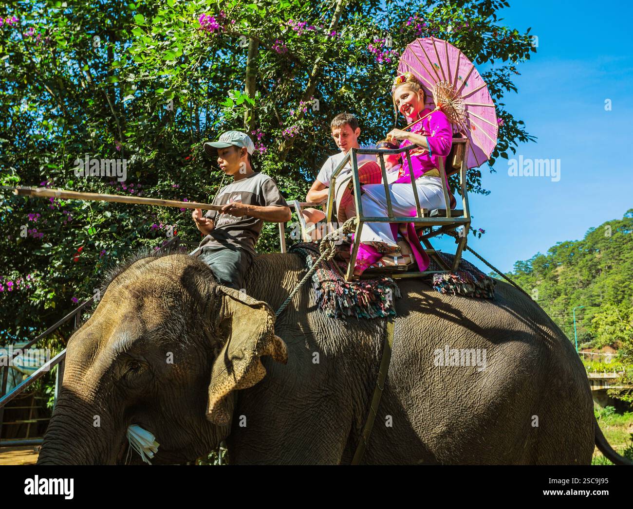 Vietnam, 27 NOV 2014; Riding on elephants. The farm of elephants not ...