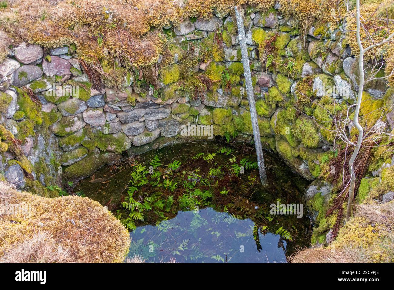 Old wolf pit with water and plants built by stones Stock Photo - Alamy