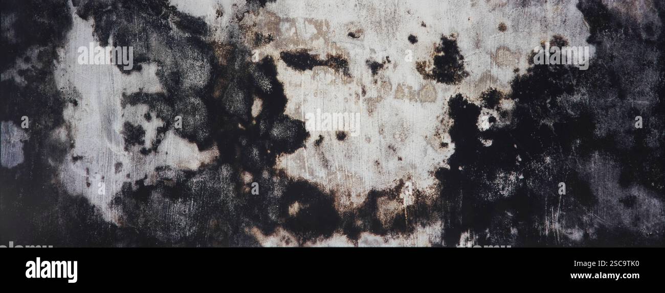 IIndien IND, 20250101, Schimmel an einer hauswand *** IIndia IND ...