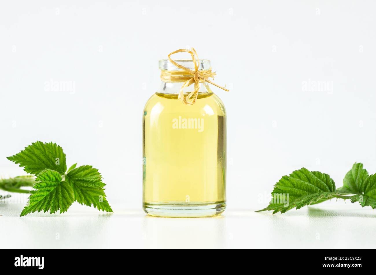 Glass bottle of nettle essential oil with fresh nettle twigs and leaves ...
