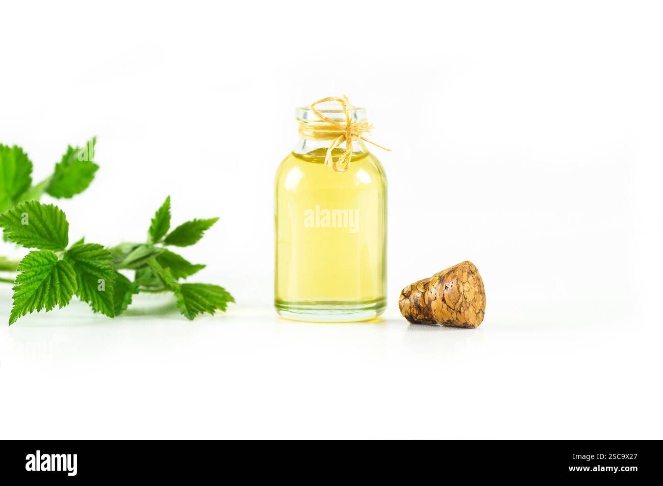 Glass bottle of nettle essential oil with fresh nettle twigs and leaves ...