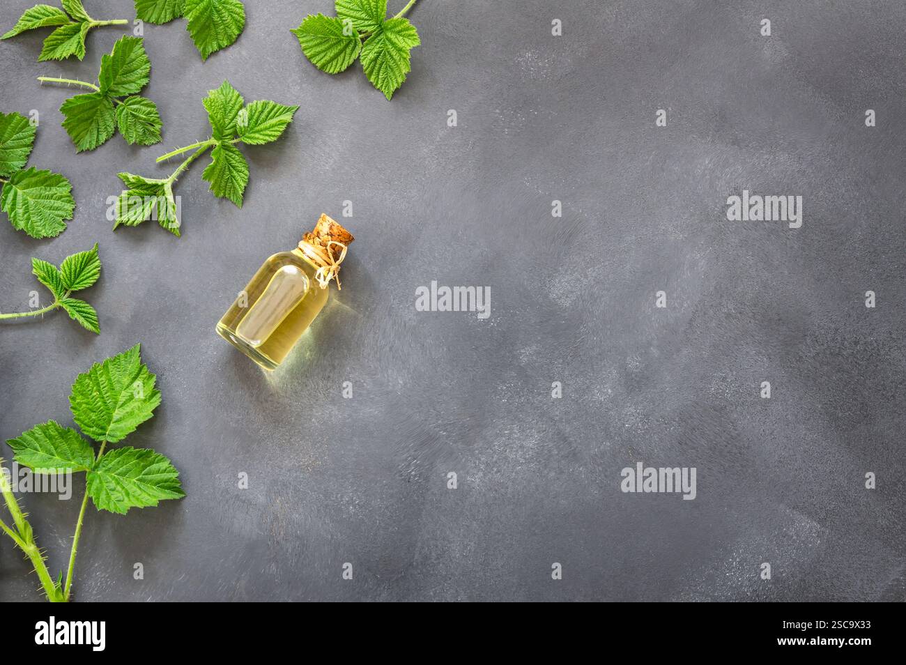 Glass bottle of nettle essential oil with fresh nettle twigs and leaves ...