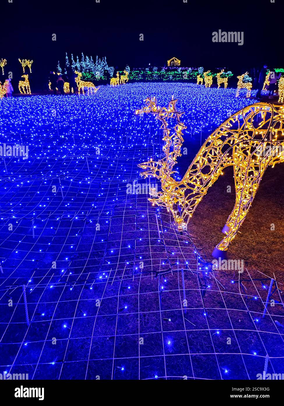 Meadow covered with blue glowing and flashing garland and LED figure of ...