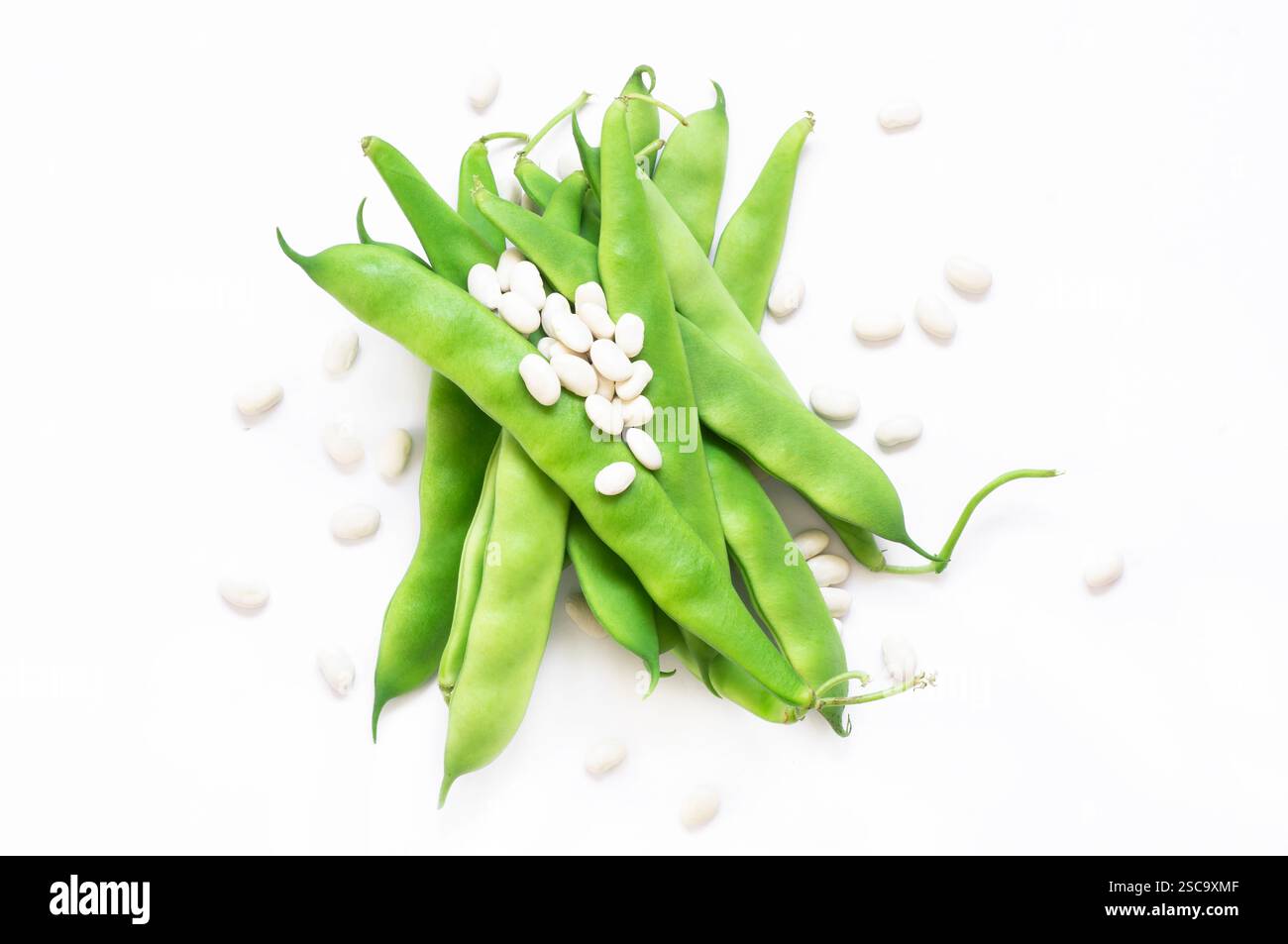 Uncooked dried white haricot beans with fresh raw green beans pod plant ...