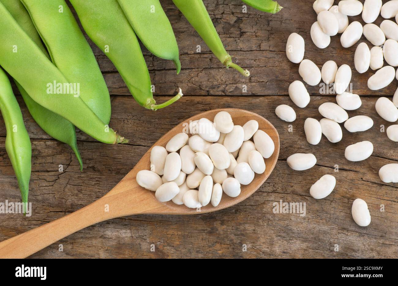 Uncooked dried white haricot beans with fresh raw green beans pod plant on rustic table. Heap of ...