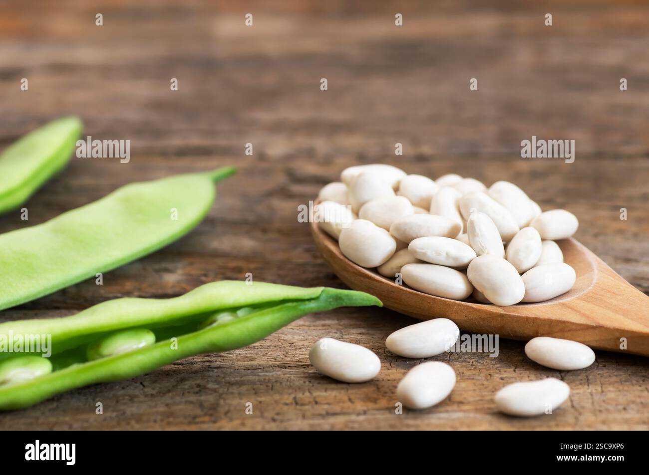 Uncooked dried white haricot beans with fresh raw green beans pod plant on rustic table. Heap of ...