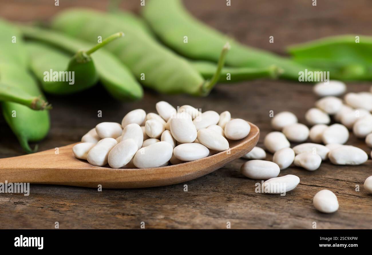 Uncooked dried white haricot beans with fresh raw green beans pod plant on rustic table. Heap of ...