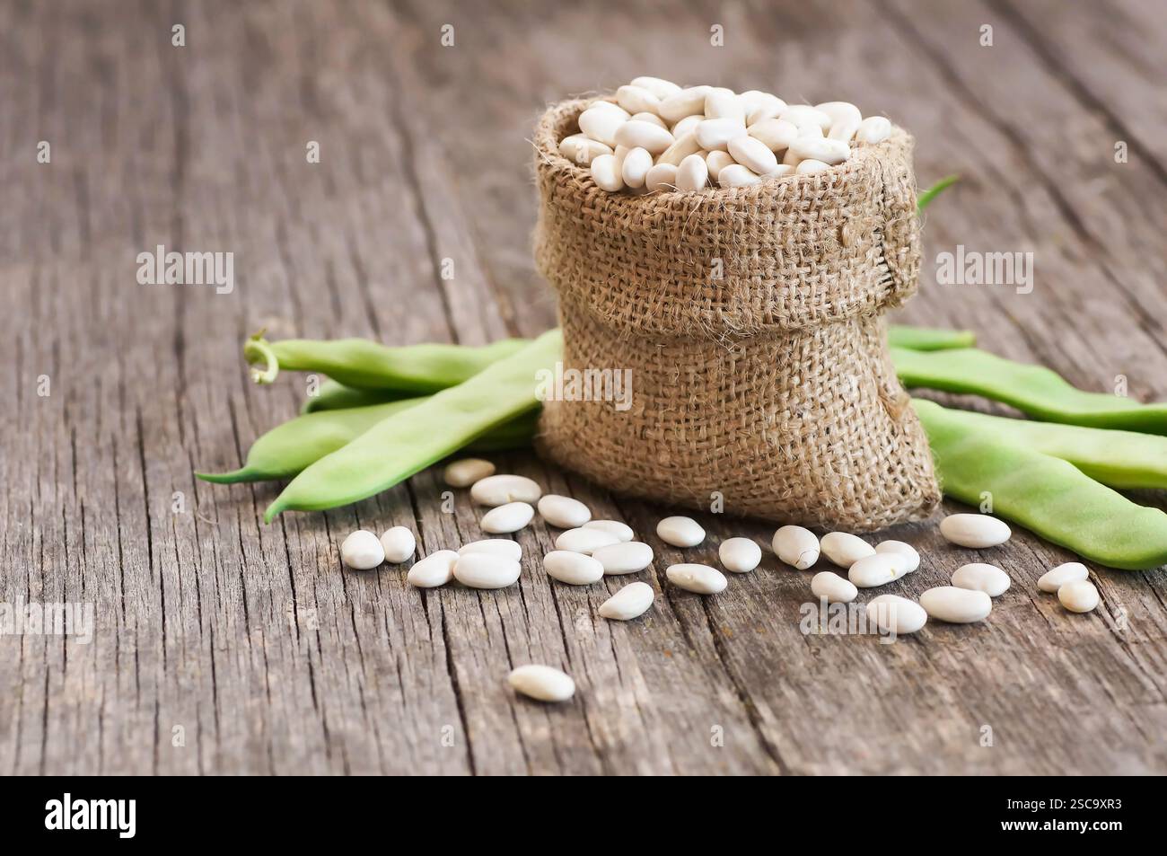 Uncooked dried white haricot beans with fresh raw green beans pod plant on rustic table. Heap of ...