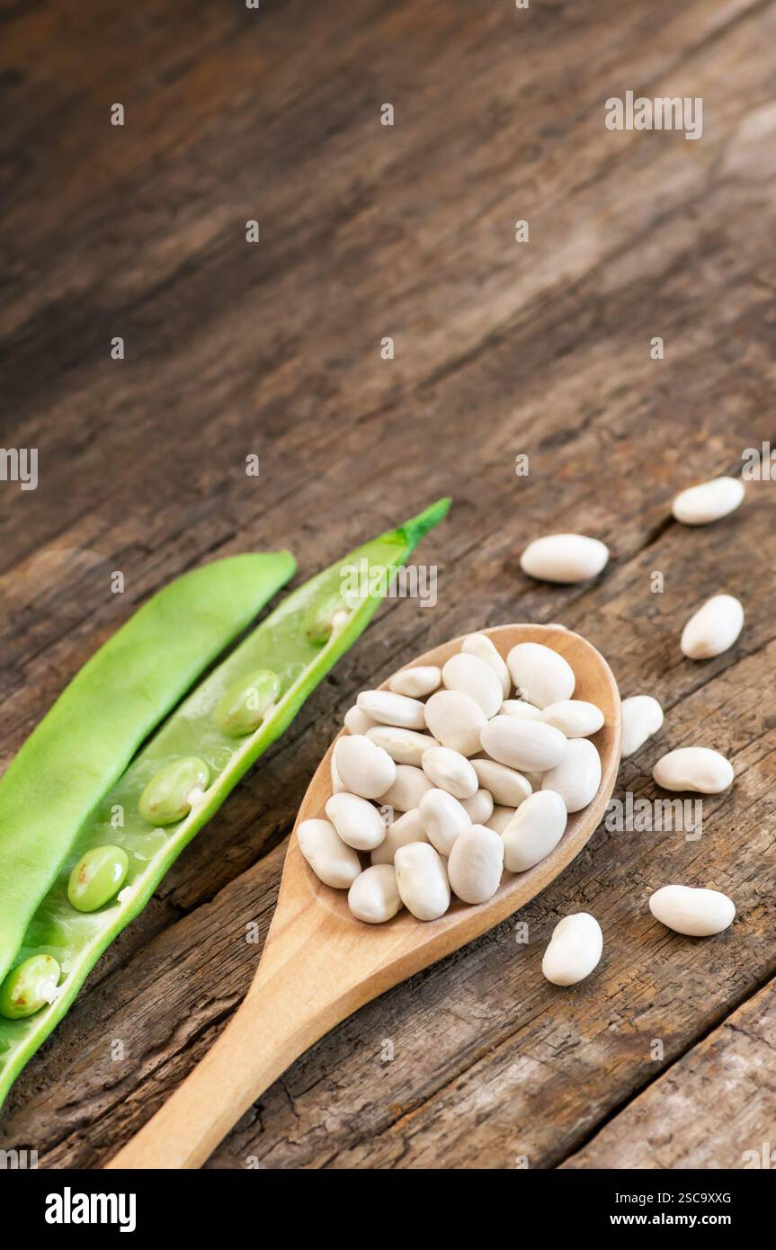 Uncooked dried white haricot beans with fresh raw green beans pod plant ...