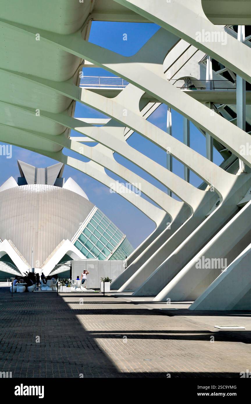 City of Arts and Sciences, designed by Santiago Calatrava architect ...