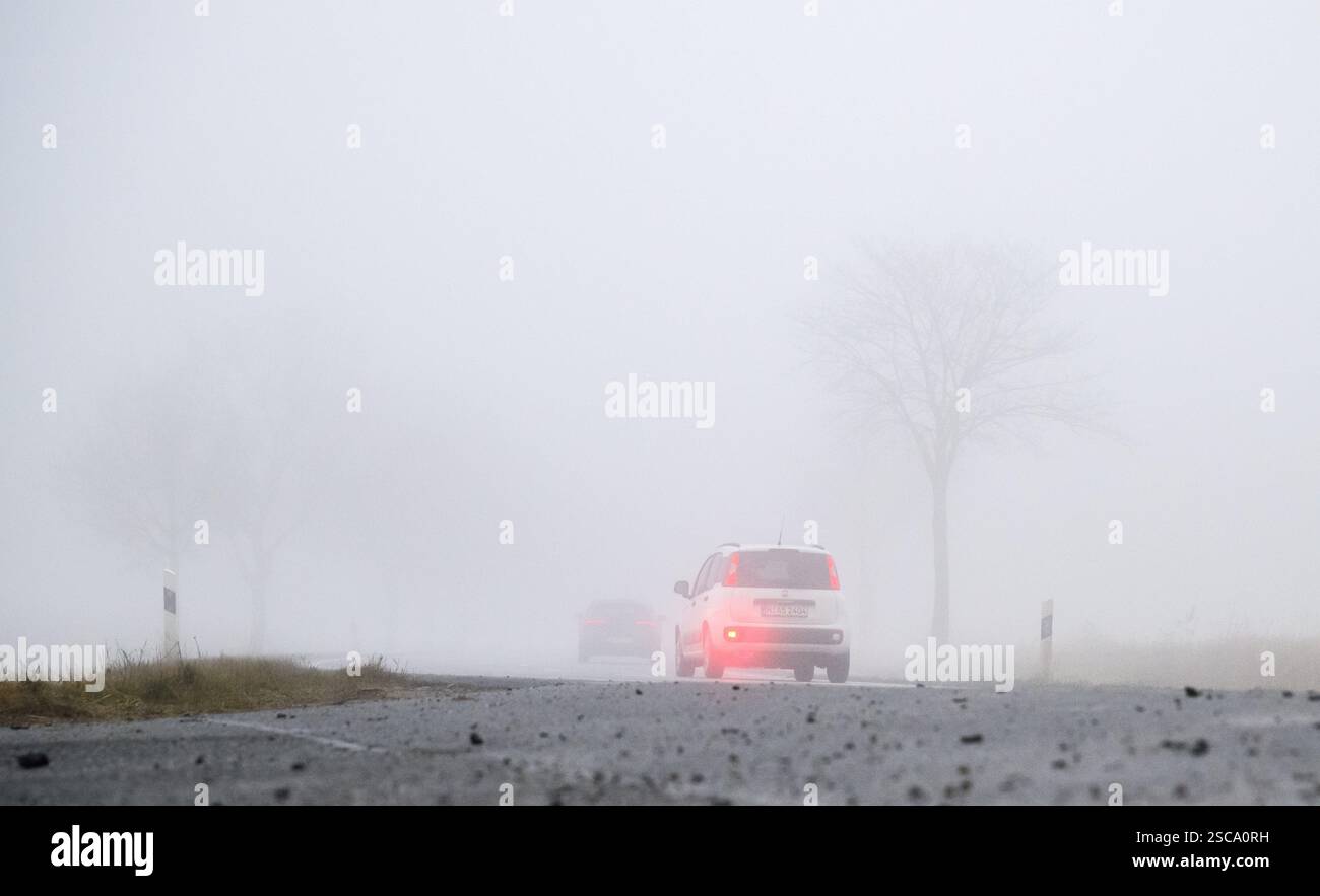 Sehnde, Germany. 06th Feb, 2025. Cars drive along a country road in the ...