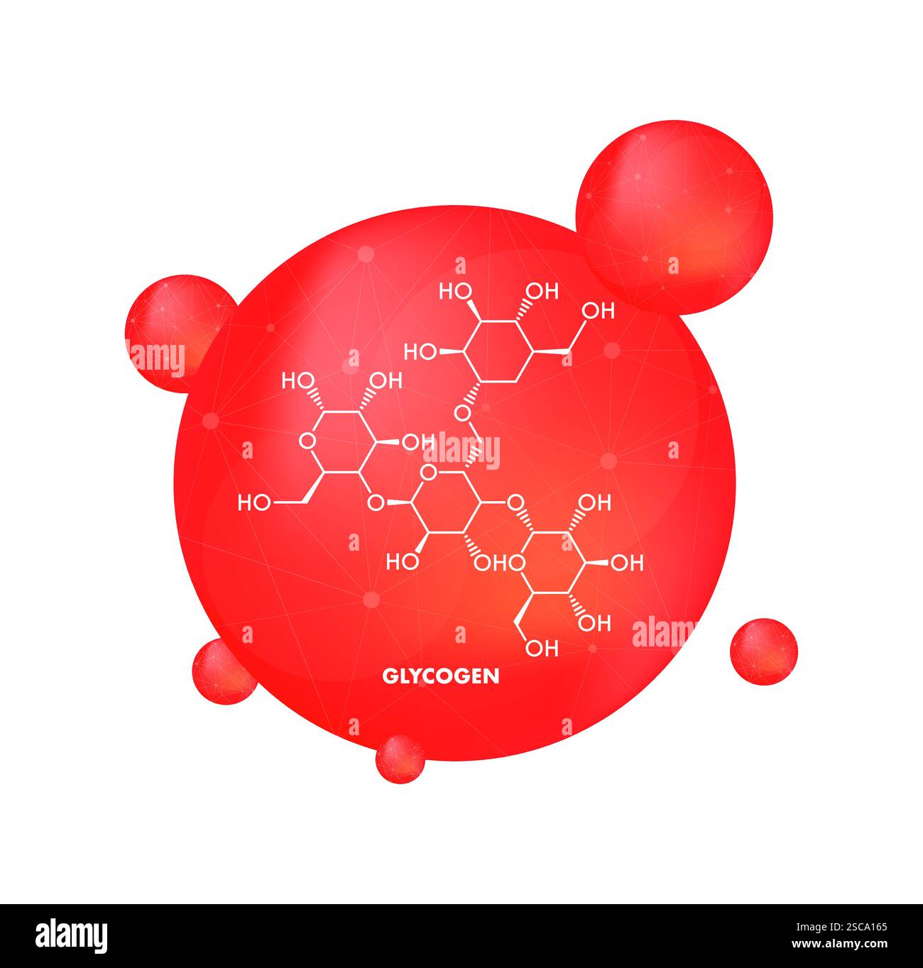 Glycogen molecule inside red blood cell forming polysaccharide glucose ...